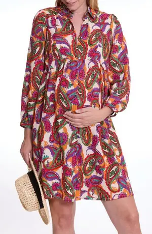 CACHE COEUR Soledad Maternity And Nursing Shirt Dress