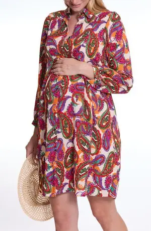 CACHE COEUR Soledad Maternity And Nursing Shirt Dress