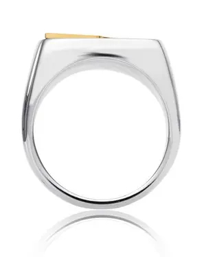 DC COMICS The Flash Stainless Steel Logo Ring
