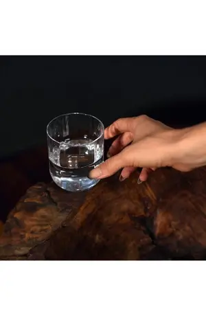 LUIGI BORMIOLI Jazz 11.75 Oz. On The Rock Tumbler Glasses