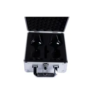 VINGARDEVALISE Vinglas 2-stem Wine Glass Case
