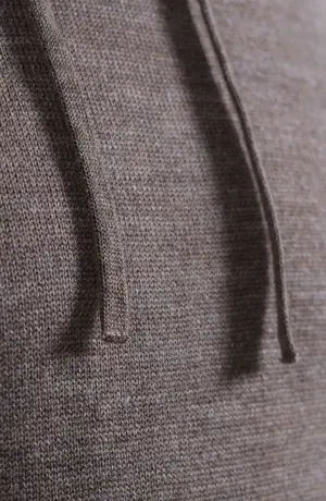 Bugatchi Merino Wool Hooded Sweater