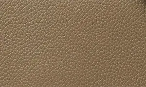 Tory Burch Perry Wallet Crossbody Bag - Wild Mushroom