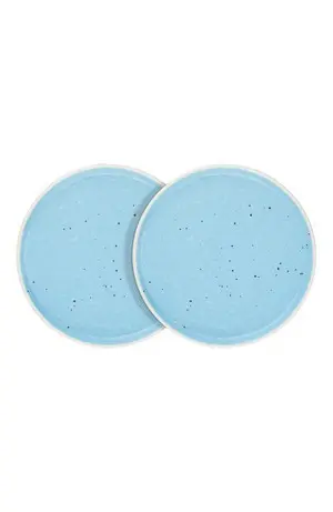 STONE + LAIN Elena Stoneware 4-piece Dinner Plate Set - Blue