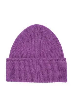 Polo Ralph Lauren Merino Wool Pony Beanie - Laguna Purple