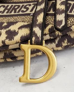 Dior Saddle Bag Multi