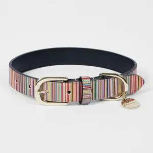 Paul Smith Signature Stripe Calf Leather Dog Collar - Multicolour