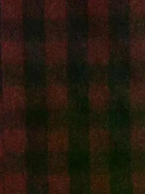 Ruslan Baginskiy Check-print Scarf - Black