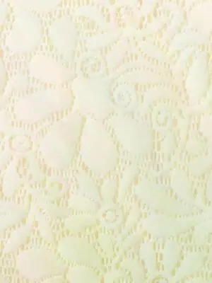 La DoubleJ Floral-pattern Lace Turtleneck Top - Neutrals