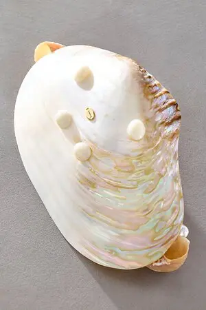 ANITA BERISHA Handcrafted Clam Shell Tray With Handles