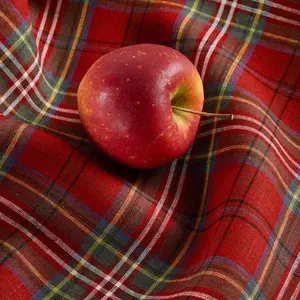 Solino Home Linen Round Tablecloth For Dining Table