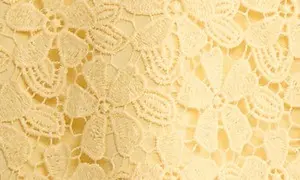 Jones New York Floral Lace Top