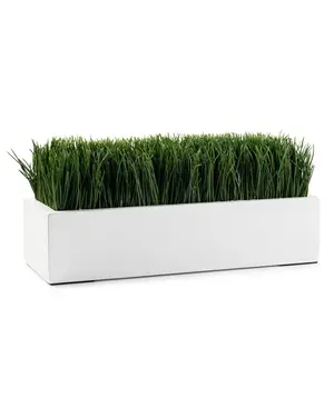 DOMANI HOME Rectangle Pot Grass Arrangement