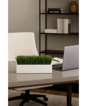 DOMANI HOME Rectangle Pot Grass Arrangement