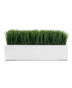DOMANI HOME Rectangle Pot Grass Arrangement
