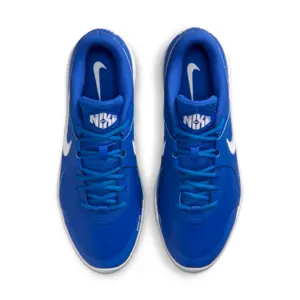 Nike Diamond Gamer Mcs Baseball Shoes - Blue