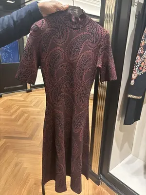 Etro Red Knit Paisley Dress - Brown