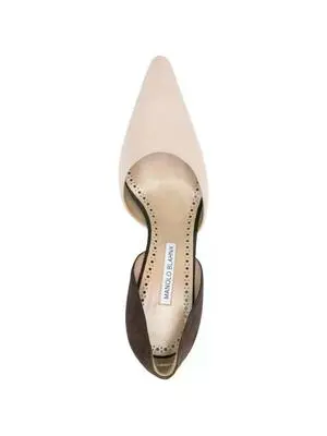 Manolo Blahnik Taylerbinu Point-toe Heeled Pumps
