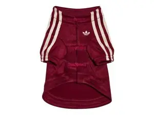 Adidas Pet Chinese Style Track Top - Collegiate Burgundy