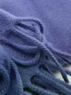 Hermès 2010s Fringe Cashmere Blanket