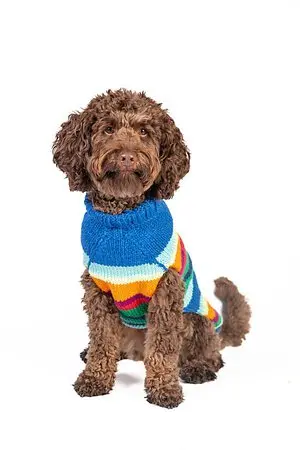 CHILLY DOG Royal Alpaca Stripe Dog Sweater