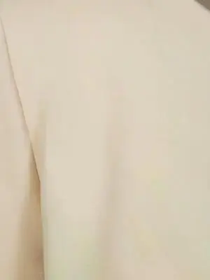 P.a.r.o.s.h Cady Blouse - Neutrals