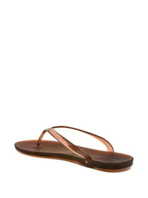 Senso Megan Flip Flops - Brown