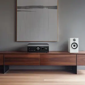 DENON Pma-3000ne Reference 2-channel Integrated Amplifier