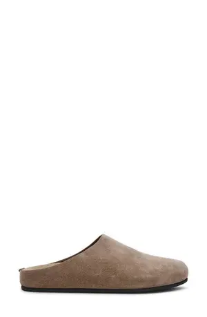 Steve Madden Fern Clog - Taupe Suede
