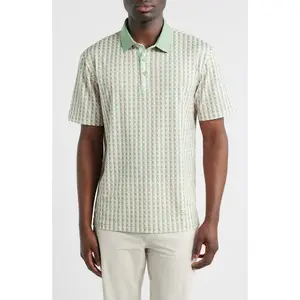 Swannies Collared Polos For Men