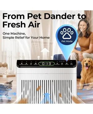MORENTO Air Purifier With Washable Filter