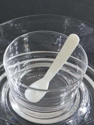 Ralph Lauren Ethan Glass Caviar Set