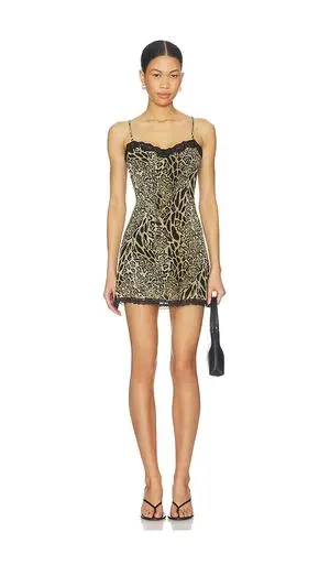 Superdown Assa Mini Dress With Leopard Print And Lace Trim