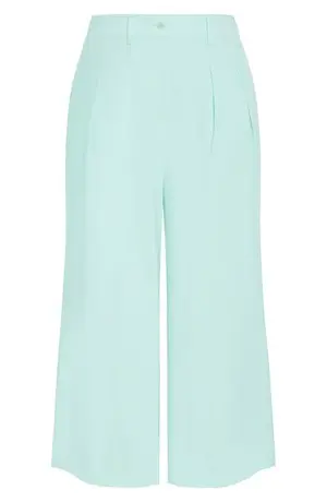 City Chic Wide Leg Pleated Front Pants - Spearmint