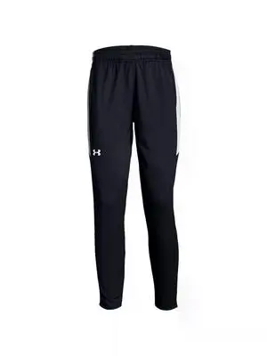 Under Armour Office Wear Sports Pants For Women