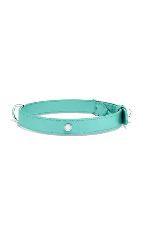 Tiffany & Co. Exclusive Pet Essentials Medium Leather Collar