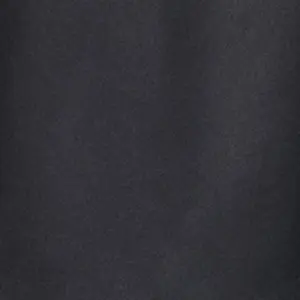 Loewe Lambskin Pleated Mini Skirt