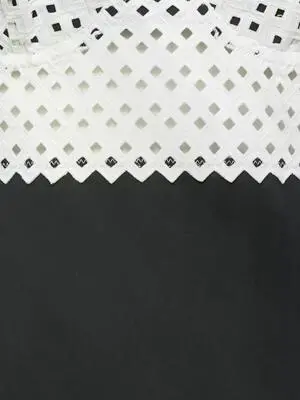 Catherine Malandrino Lace-detail Mini Dress