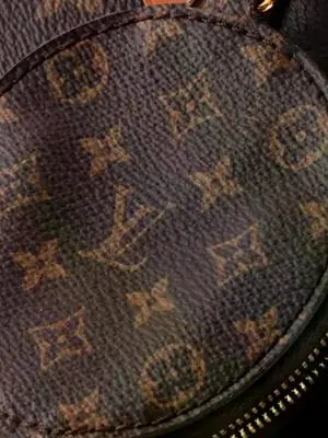 LOUIS VUITTON Multi Pochette Accessoires Monogram Canvas