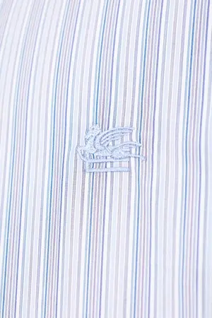 Etro Shirt With Stripe Pattern - Multicolour