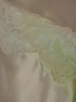 Alberta Ferretti Lace-trim Cross-back Top