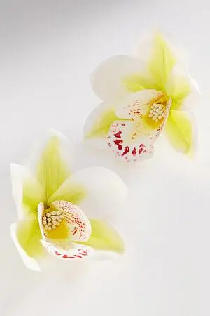 Anthropologie 3d Floral Stud Earrings - White