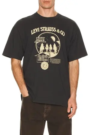 LEVI'S Fit Graphic Tee In Grey