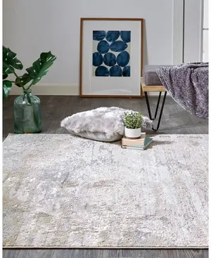 FEIZY Aura Aur3567f Area Rug 9'2 X 12