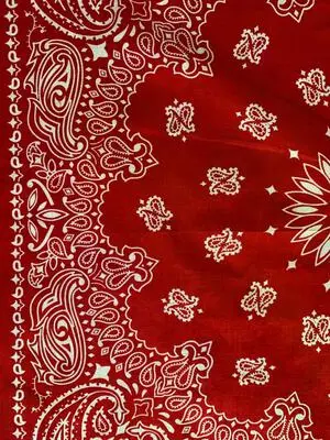 FORTELA Japanese Paisley-pattern Bandana - Red
