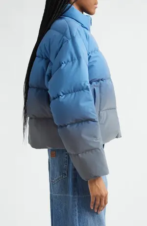 Alexander Wang Reflective Gradient Puffer Jacket