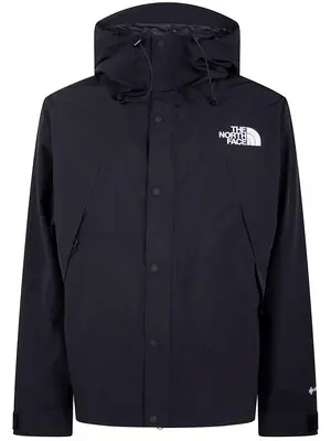 The North Face Gtx Mountain Jacket