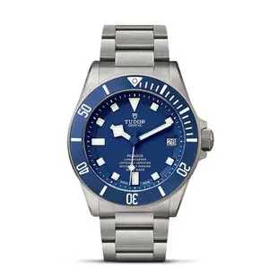 TUDOR Pelagos 42mm Watch - Stainless Steel