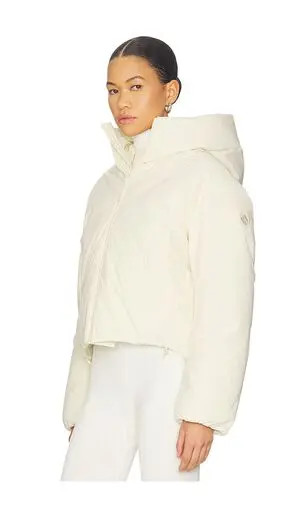 Cordova Alpe Ski Jacket - Alabaster