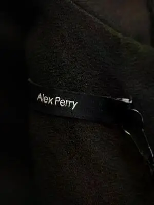 Alex Perry Mock-neck Mini Dress